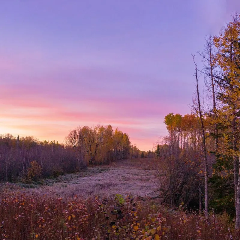 Serenity Dome Gallery | Refuge Bay